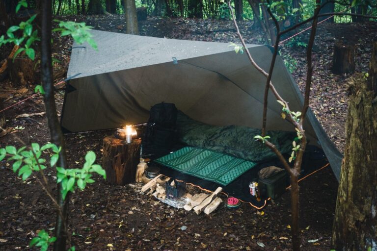 【完全保存版】タープ泊マニュアル｜おすすめのタープや蚊帳、冬でも快適に過ごす方法 | TAKECAMP